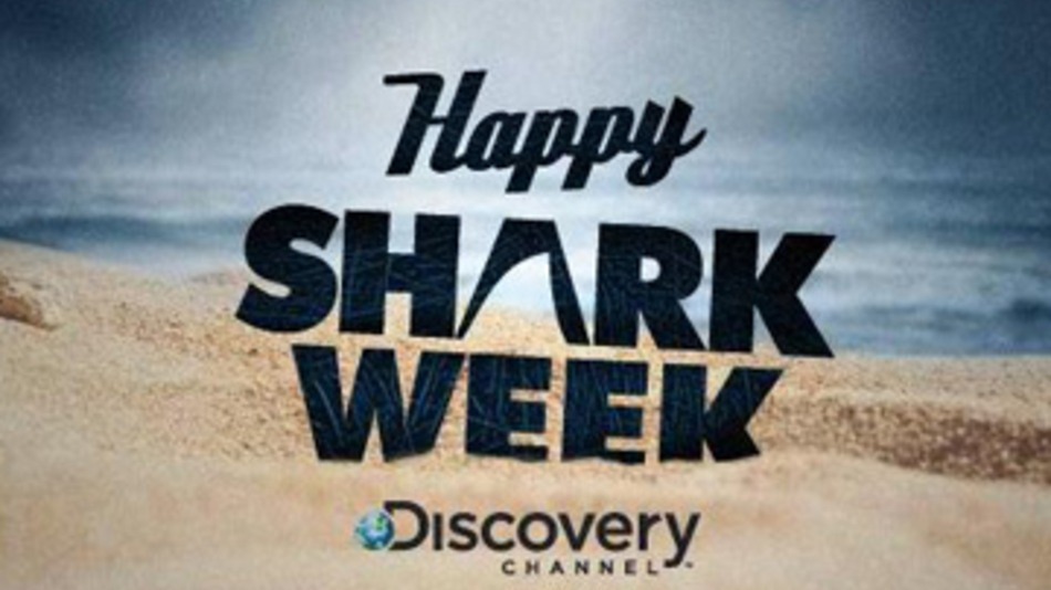 5 Things I Learned from Shark Week | Home&Away